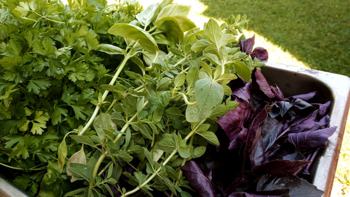 Spice Mixes | Scorch Garden